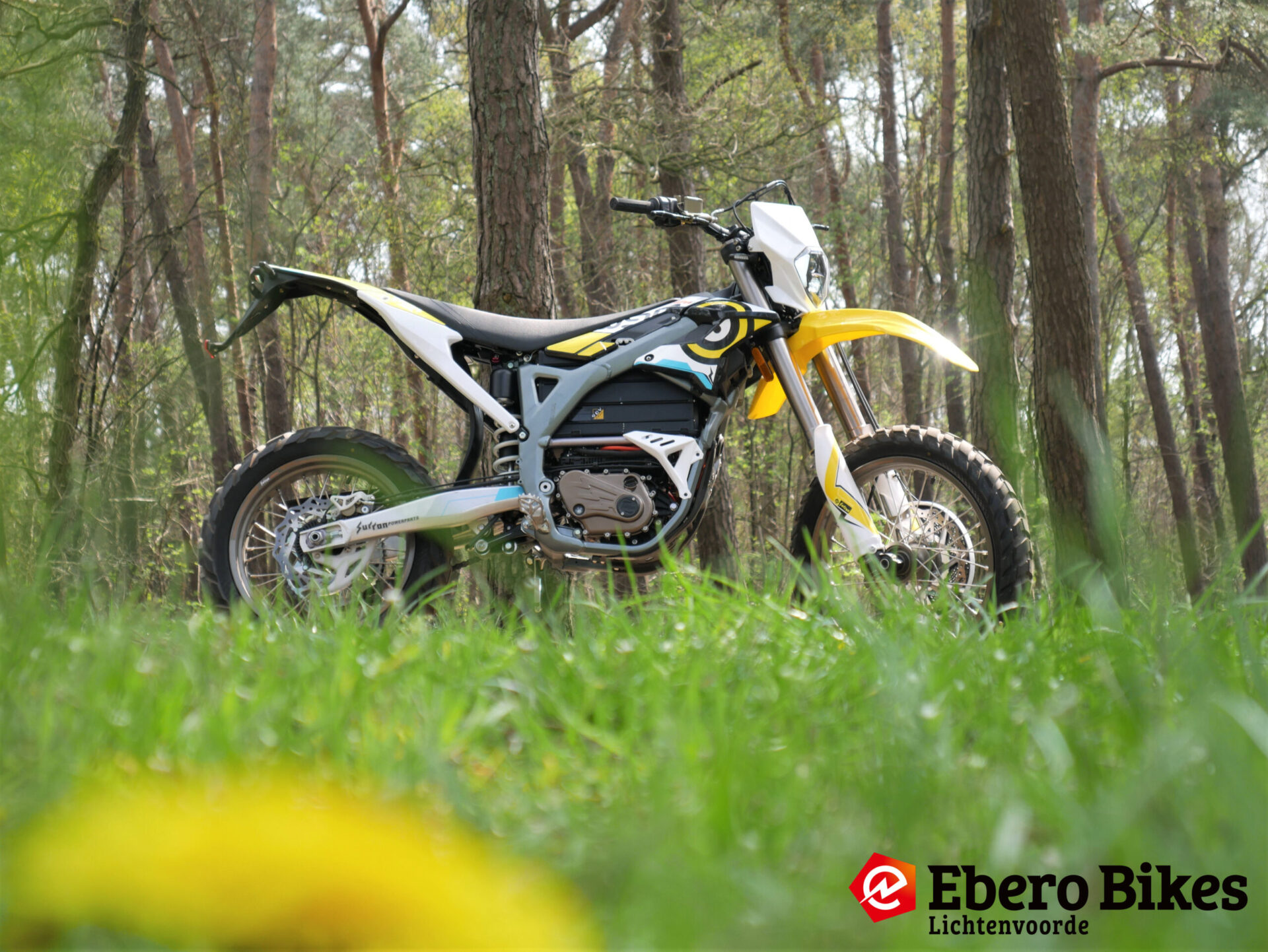 SUR-RON STORM BEE 2021 PRE-ORDER NEDERLAND - Ebero